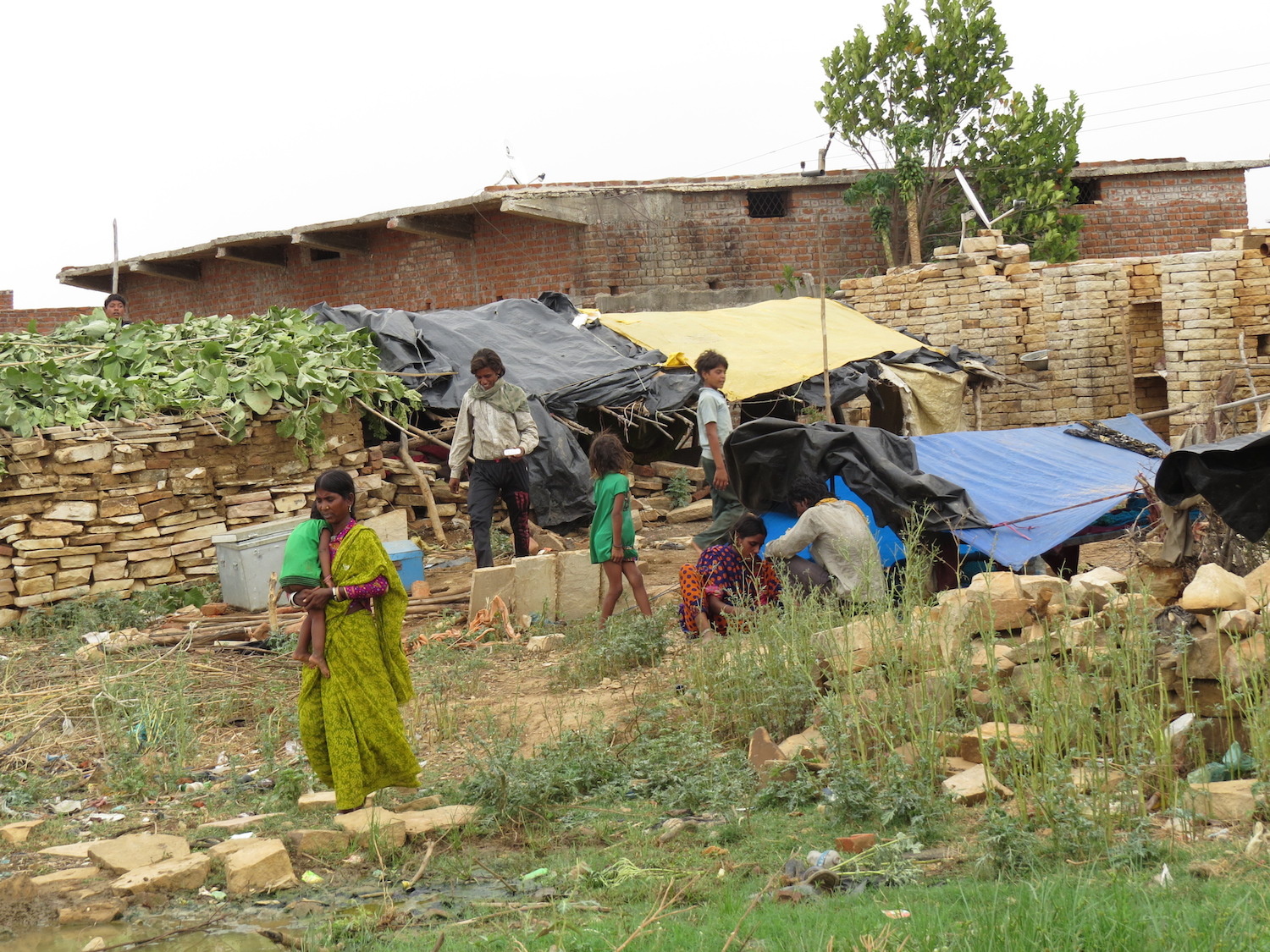Photos: To save tigers, an NGO helps Pardhi children escape the stigma ...