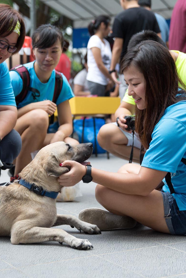 Family Pawtraits — SOSD Flag Day & Adoption Drive | SHENTONISTA