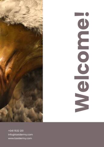 A3-sized Design Marketing: How to Create an Impactful Impact in Less ...