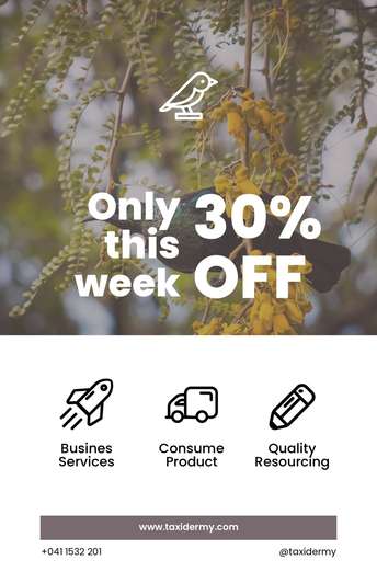 Creating XL Format Marketing Materials with Desygner: A Comprehensive ...