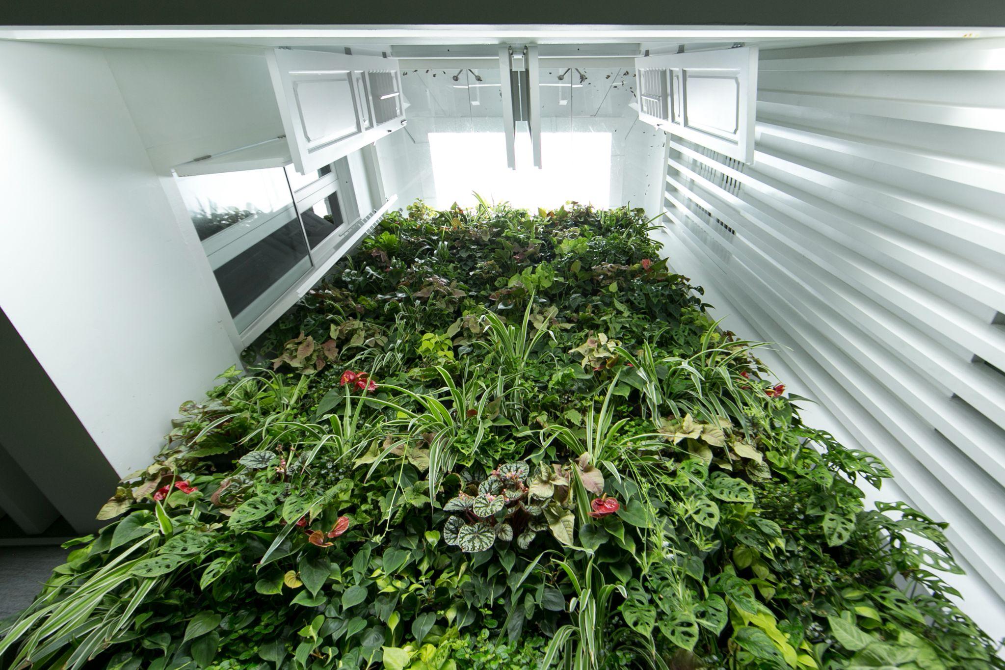 Vendor Spotlight: Greenology