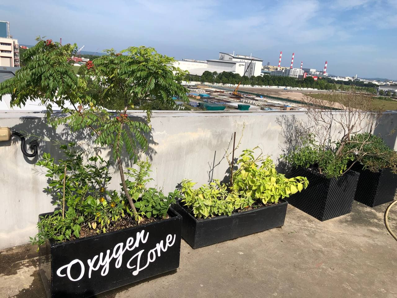 Vendor Spotlight: Greenology