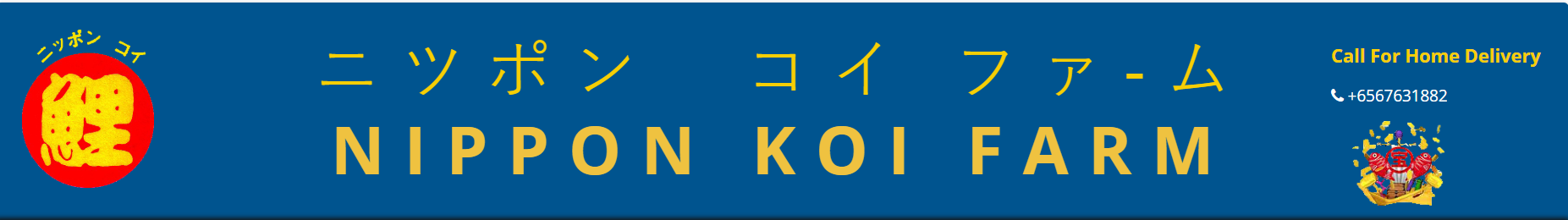 Nippon Koi Farm | Islandwide Delivery or Pickup | Order Online