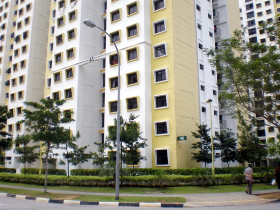 45 Jalan Tiga (S)390045 HDB Details - SRX