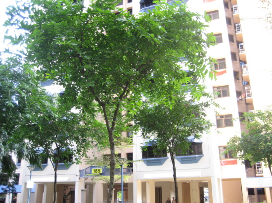 185 Bedok North Road (S)460185 HDB Street - HDB Blocks, Flats for Sale ...