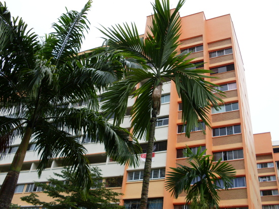 114 Tampines Street 11 (S)521114 HDB Street - HDB Blocks, Flats for ...