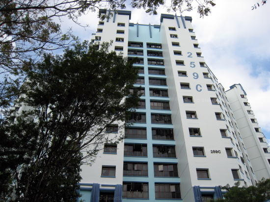 259C Compassvale Road (S)543259 HDB Details - SRX