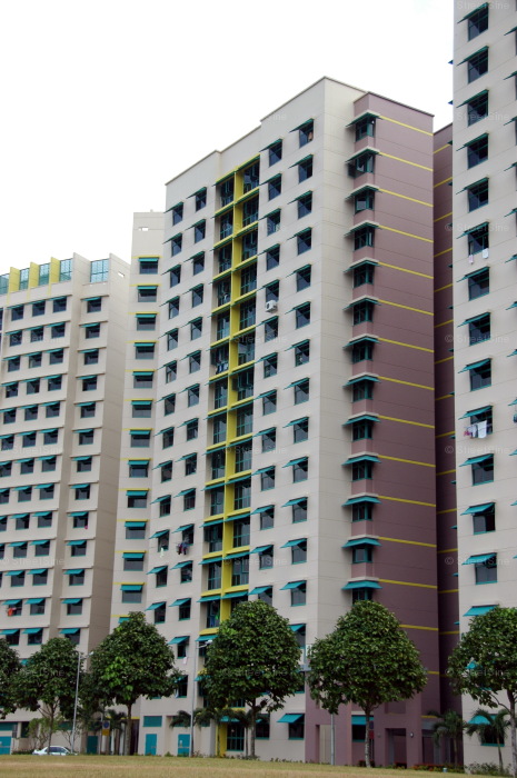 484 Segar Road (S)670484 HDB Details for Sale - Quality Listings for ...