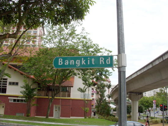 Bangkit Road HDB Street - HDB Blocks, Flats for Sale & Rent in Bangkit Road