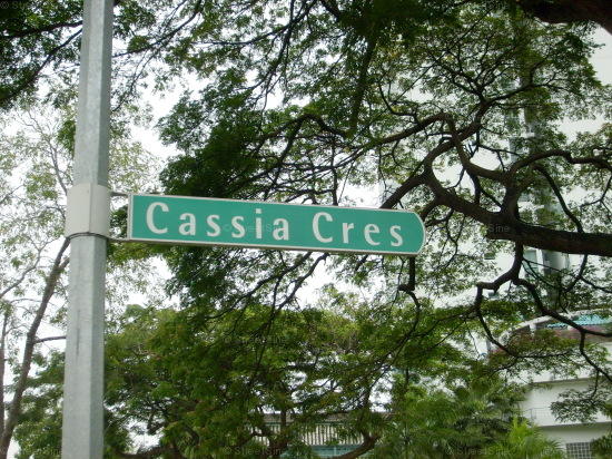 52 Cassia Crescent (S)390052 HDB Details Location Map - Nearby MRT's ...