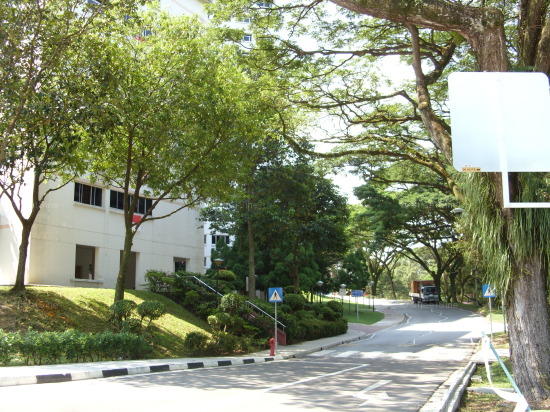 Queen's Close HDB Details for Sale - Quality Listings for Sale & Rent ...