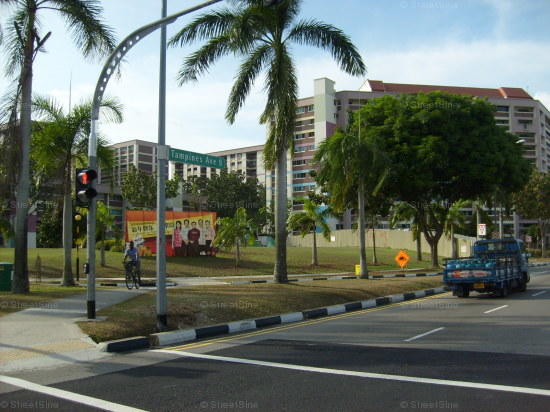 603A Tampines Avenue 9 (S)521603 HDB Details Location Map - Nearby MRT ...