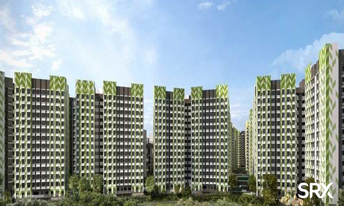 Vanda Breeze @ Yishun, Aranda Breeze @ Yishun, Miltonia Breeze @ Yishun ...