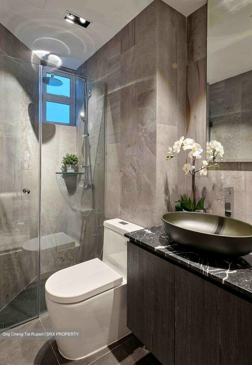 Leedon 2 (D10), Condominium - For Sale #103709721