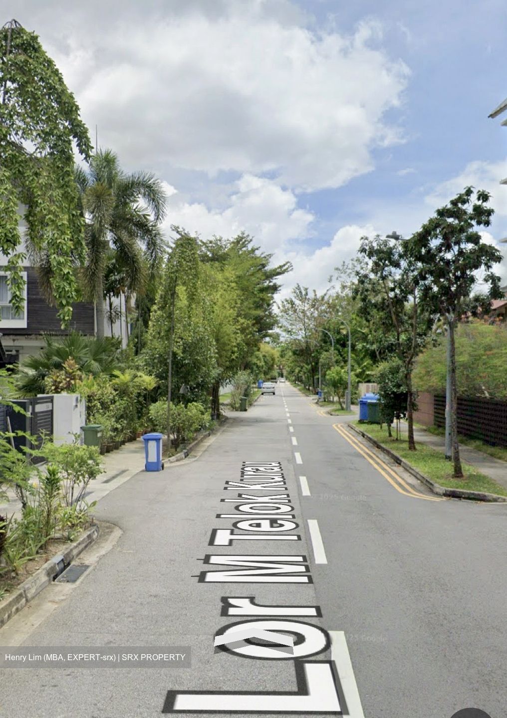 Lorong M Telok Kurau (D15), Semi-Detached - For Sale #104057091