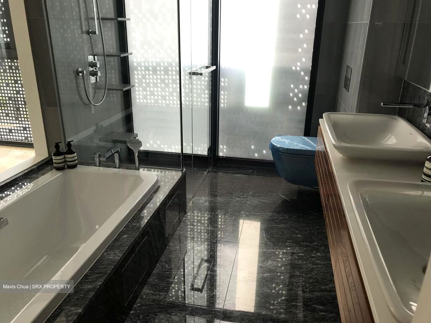 Bukit Timah Road (D10), Semi-Detached - For Rent #104451411