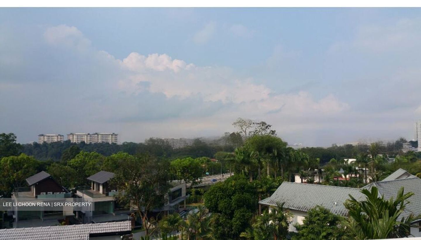Raffles Park (D11), Detached - For Sale #104762181