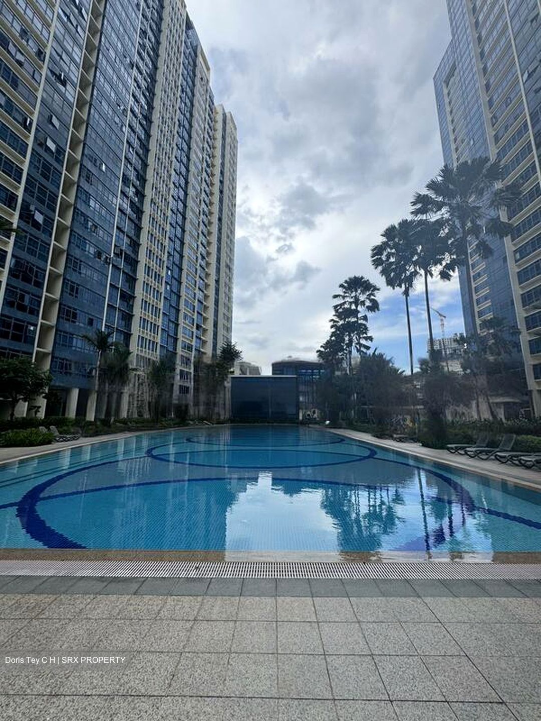 City Square Residences (D8), Condominium - For Rent #106334601