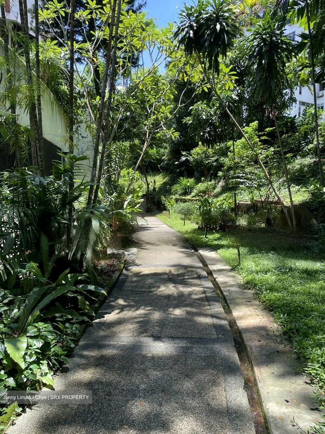 Clementi Park (D21), Condominium - For Rent #106623151