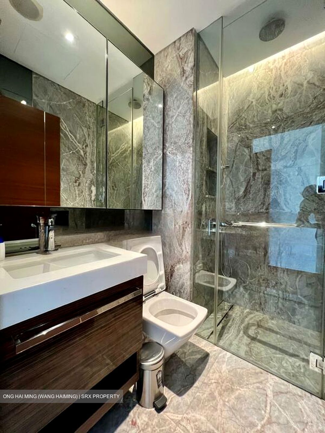 The Orchard Residences (D9), Apartment - For Sale #106755421