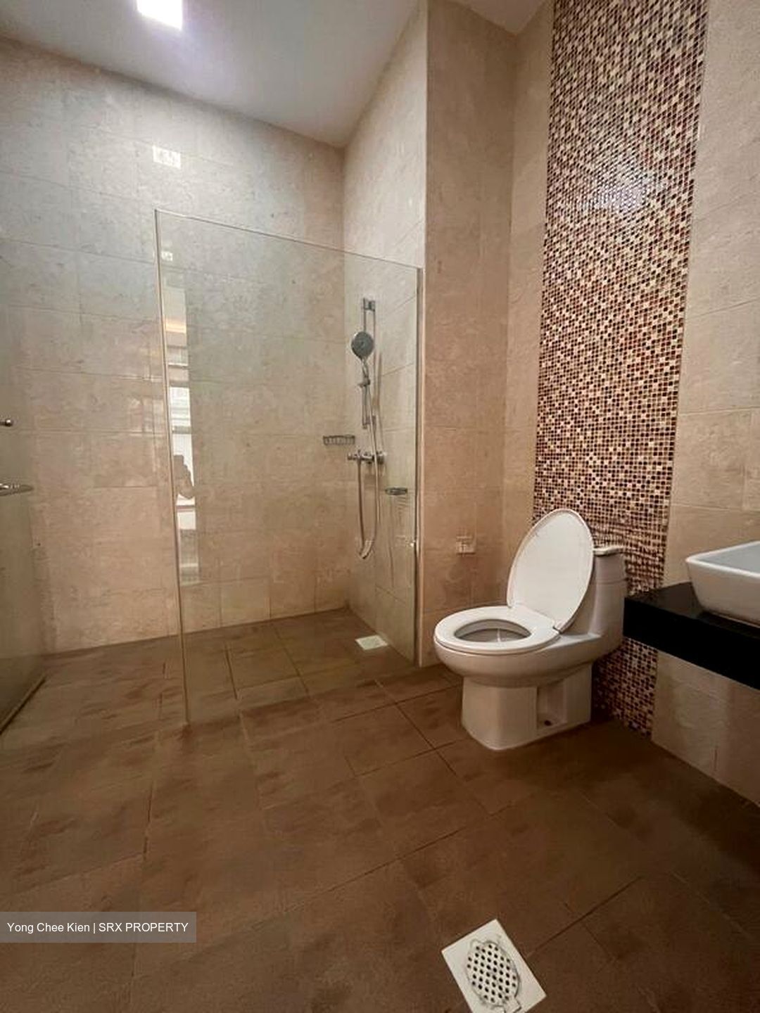 Lim Tua Tow Road (D19), Semi-Detached - For Rent #106996071