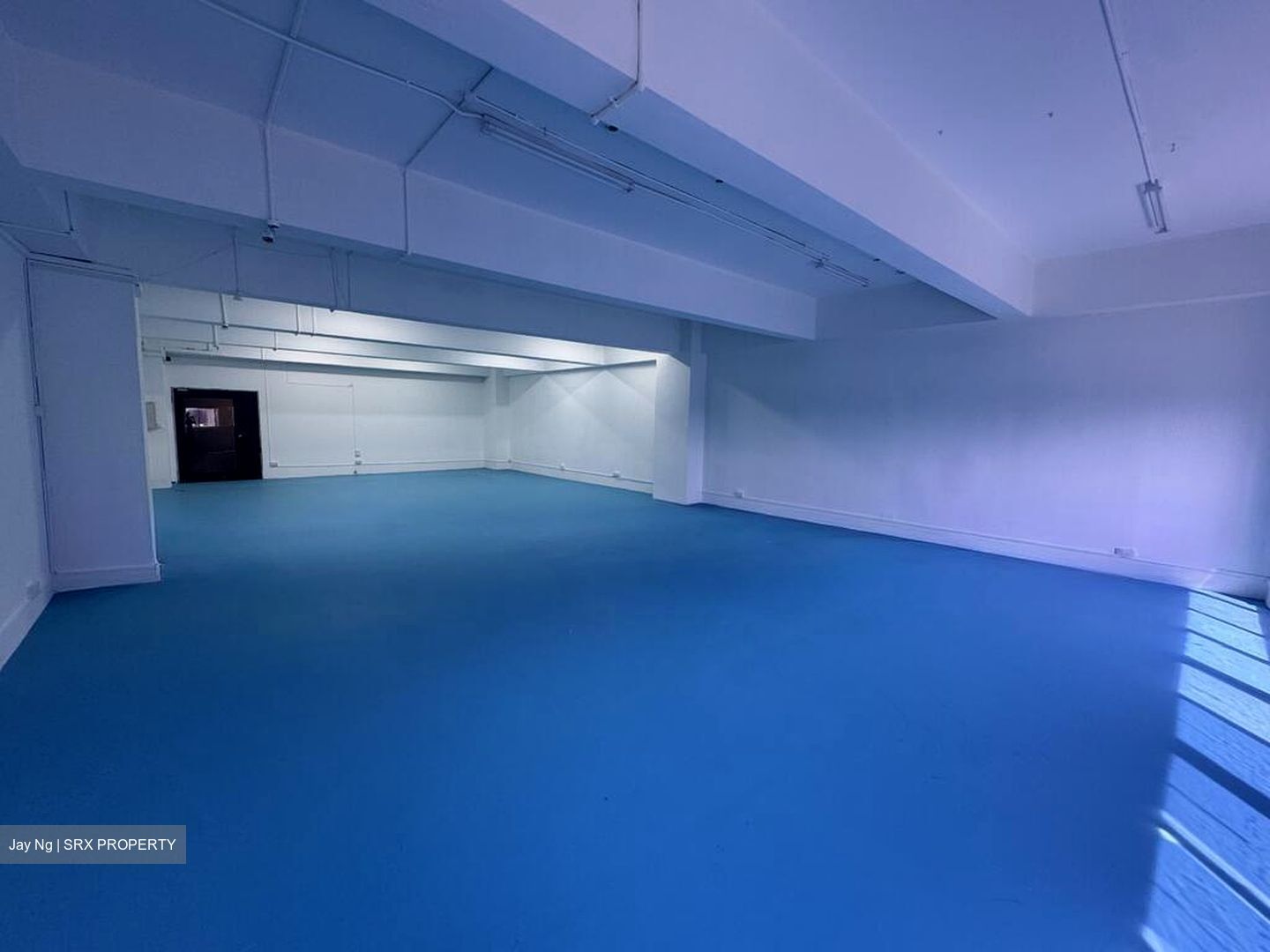 Halcyon Building (D20), Factory - For Rent #107134811