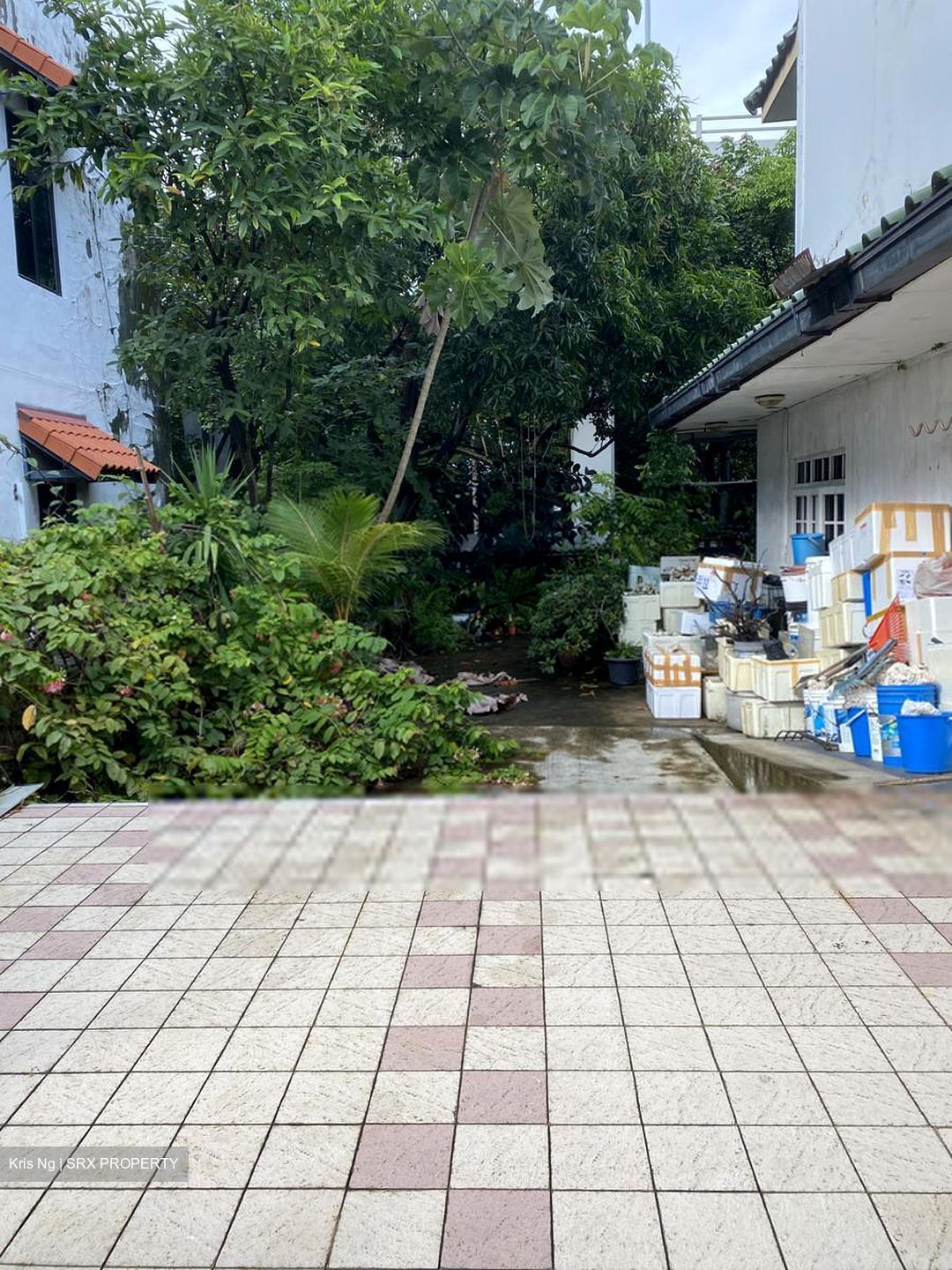 Pasir Panjang Road (D5), Terrace - For Sale #92900661