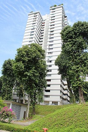 Braddell View Condo Details - 10a Braddell Hill in Ang Mo Kio / Bishan ...