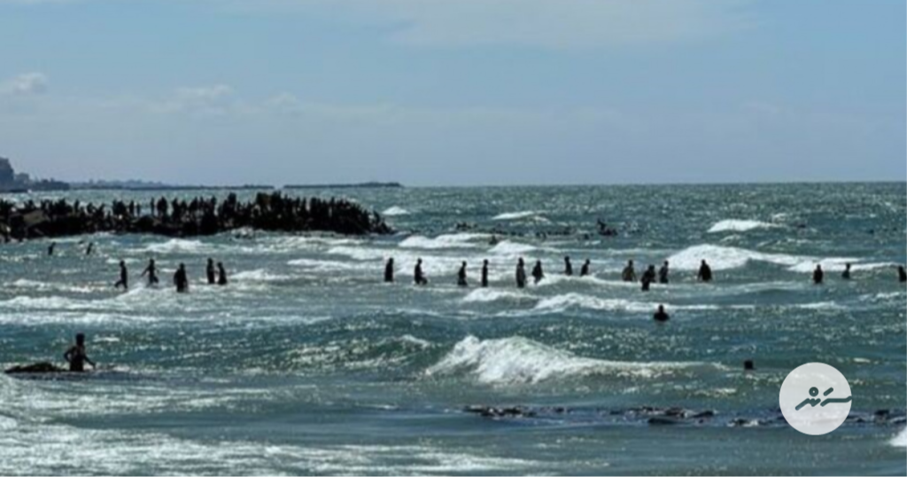 SunOnline: Gaza ah gendhiya eheege saamaanu alhaalee kandah, e hoadhan ...