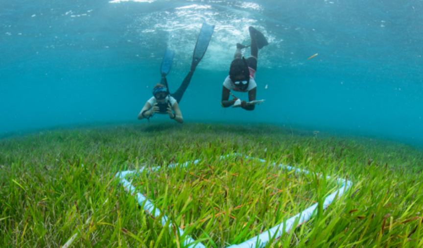 Six Senses Laamu reveals November eco-friendly endeavors