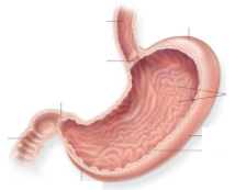 Perhatikan gambar berikut ini! Dinding lambu...