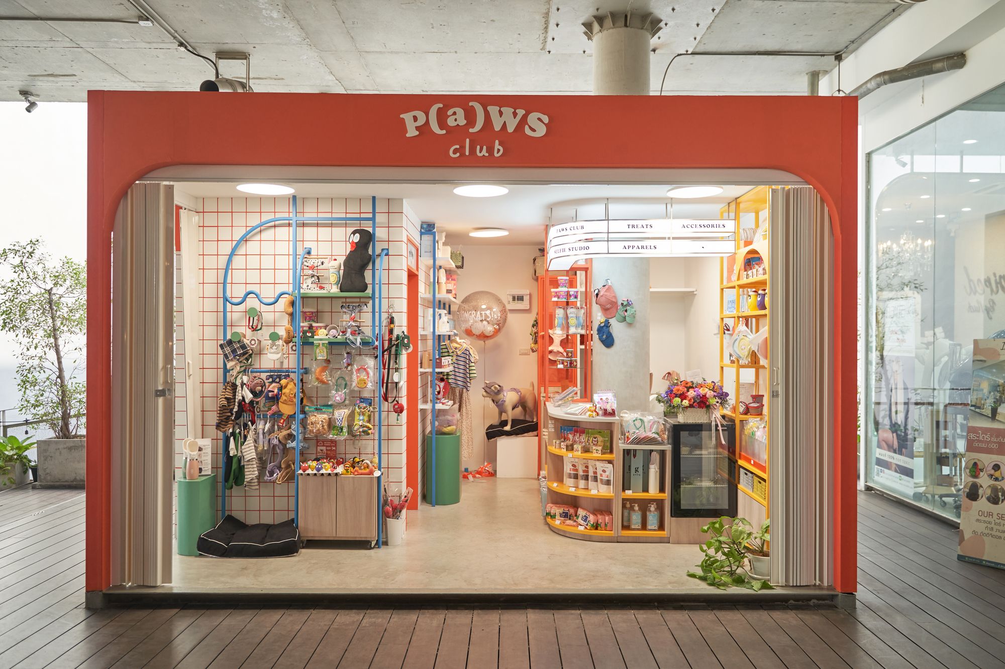 Paws Club | theCOMMONS