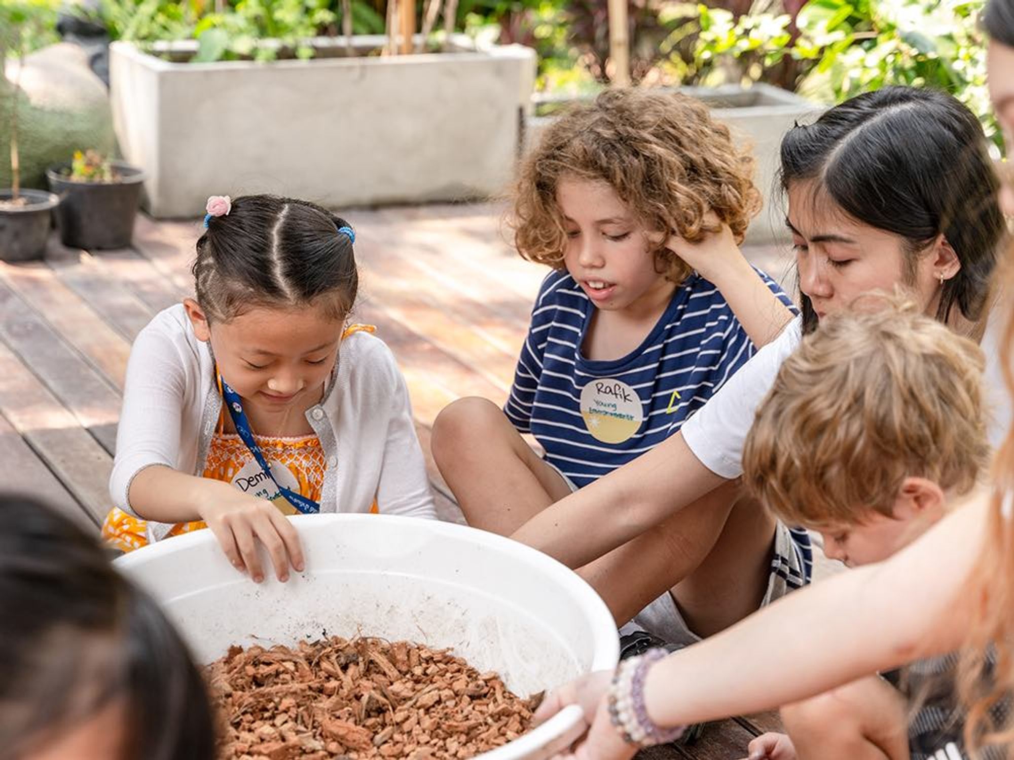 Little Pea | theCOMMONS