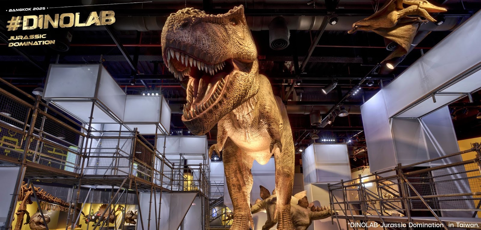 Experience the realism of a giant T-REX dinosaur.