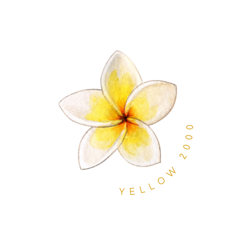YELLOW 2000 INC. Subscribe