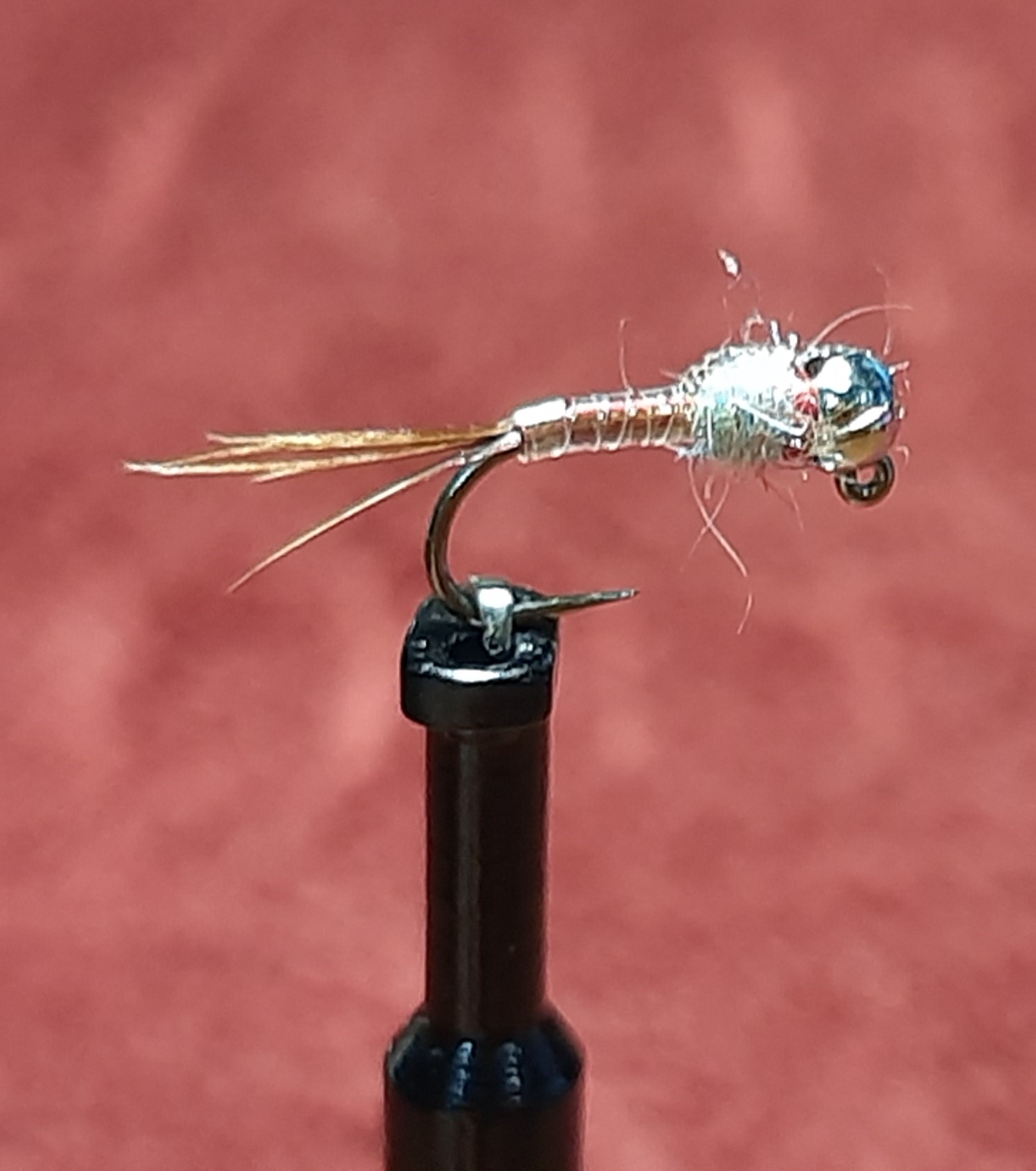 Cast your vote: 2022 National Fly Tying Competition