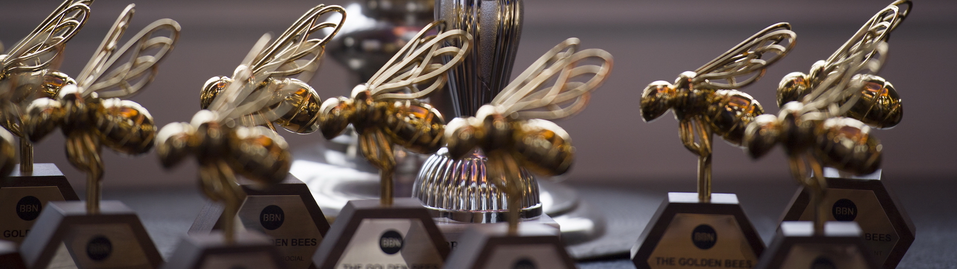 The Golden Bee Awards 2021