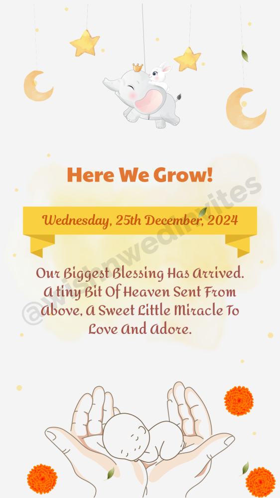 Pregnancy & Baby Announcement Video Invitations - Wish N Wed
