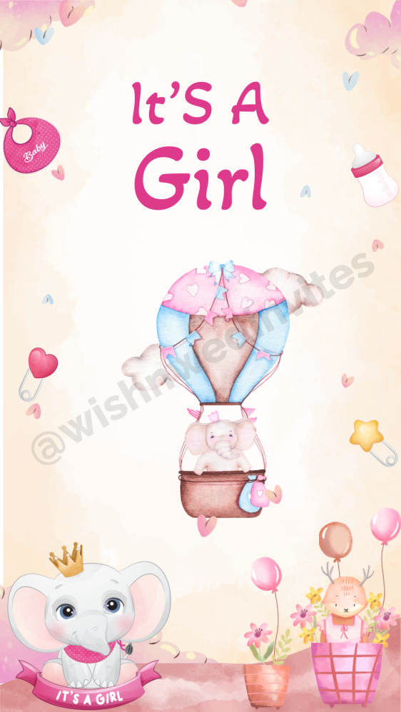 Pregnancy & Baby Announcement Video Invitations - Wish N Wed