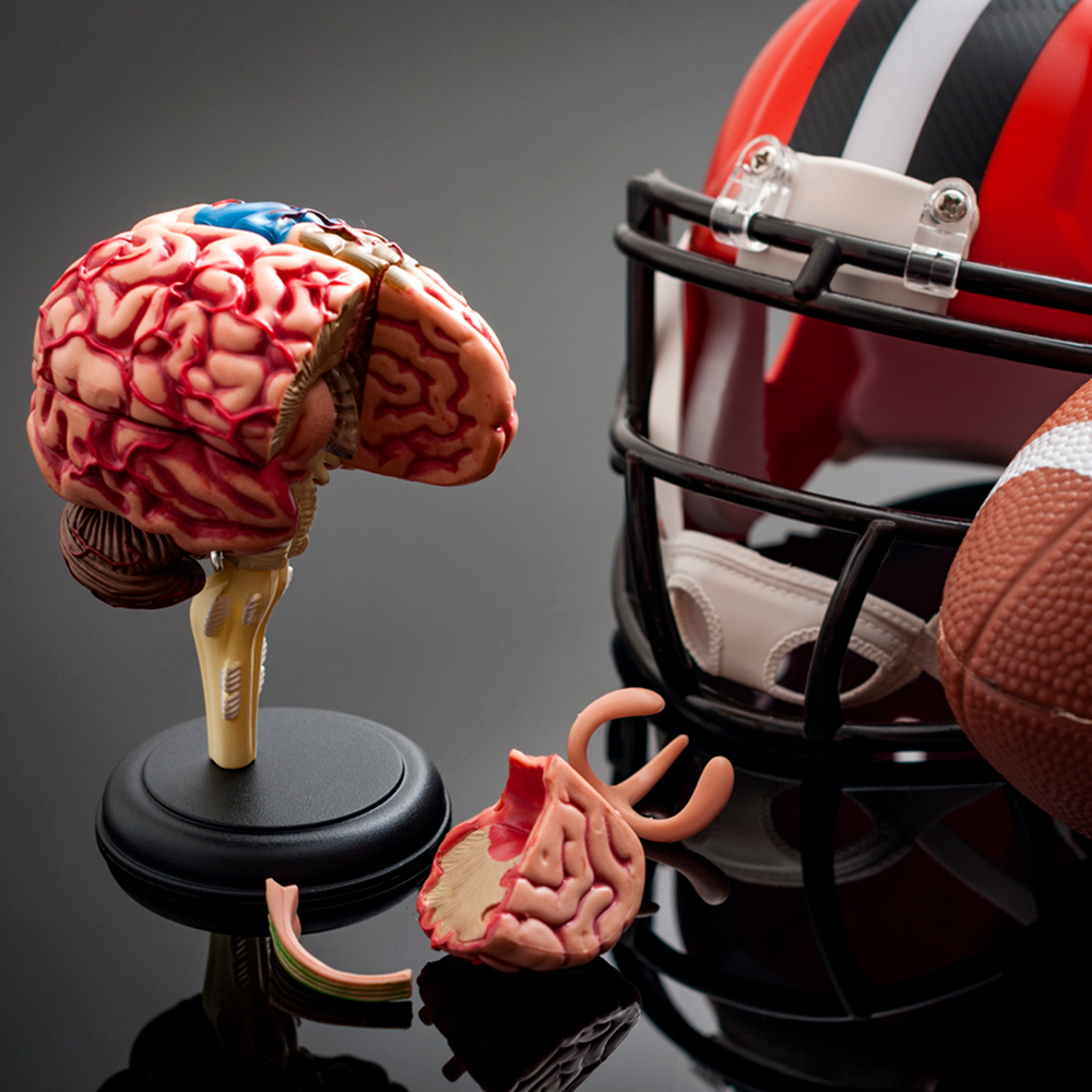 New learning tool for students with disability - Freedom2Live