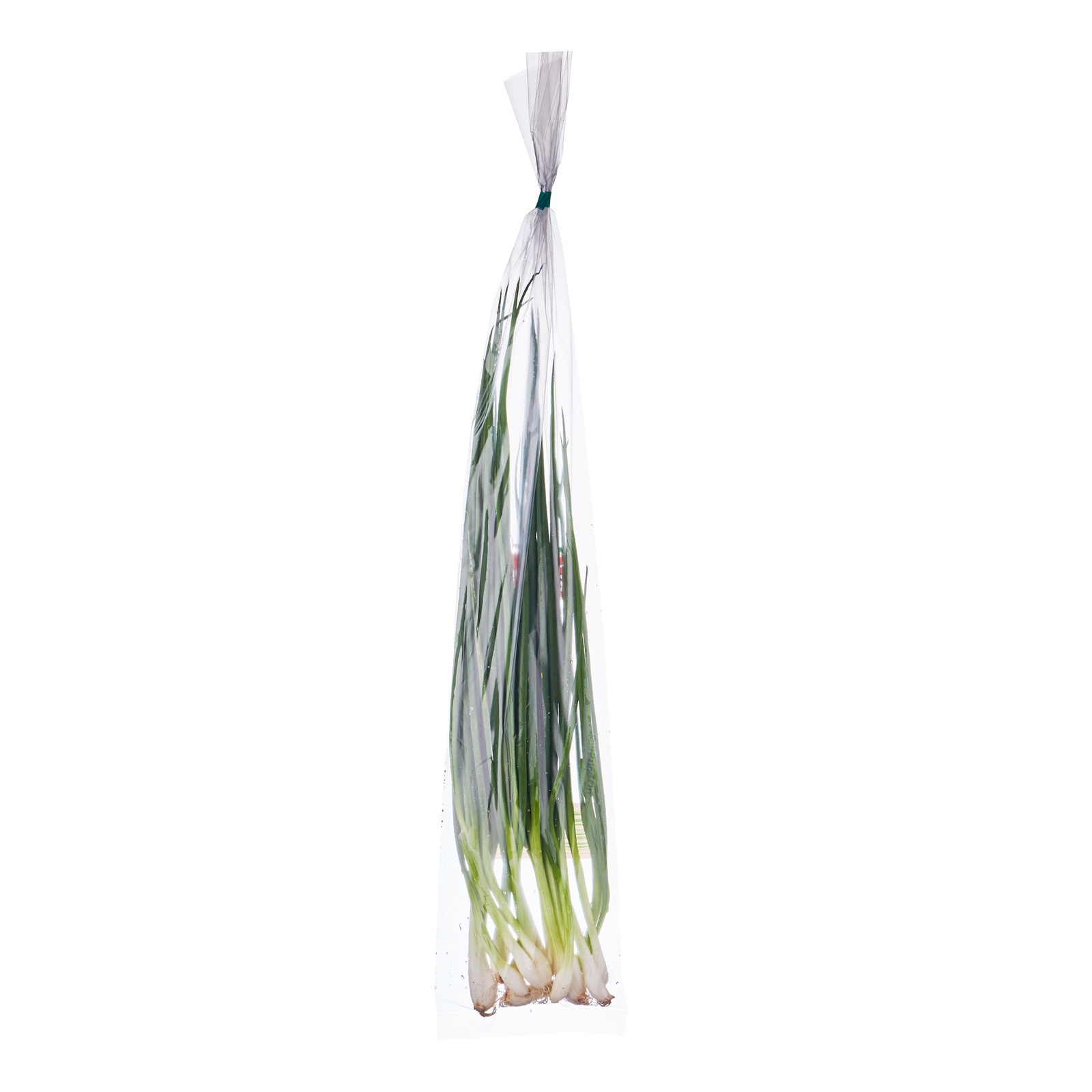 Pasar Thailand Spring Onion | NTUC FairPrice