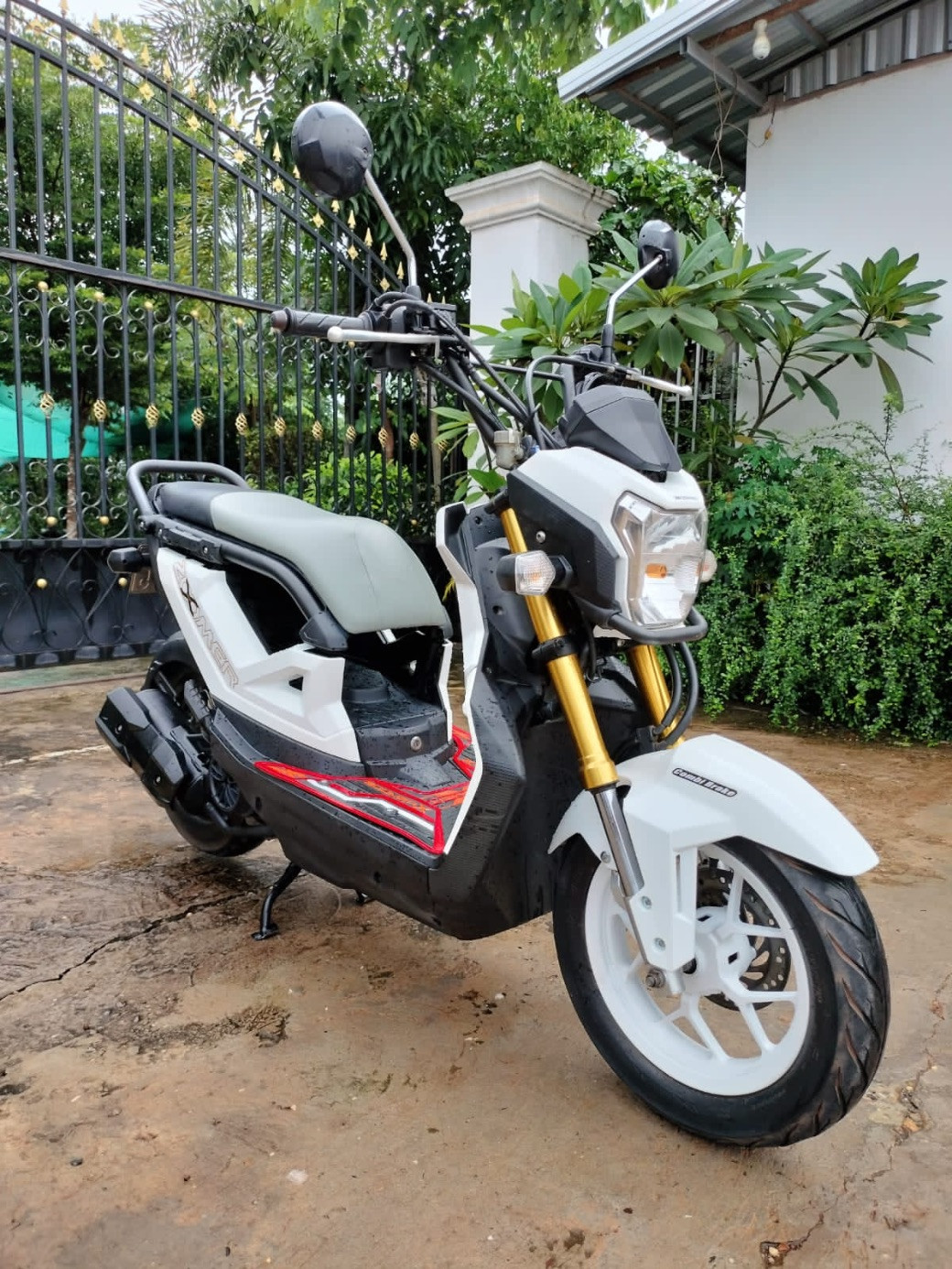 Used Honda Zoomer X for Sale in Xaythany Vientiane Capital ID 76992