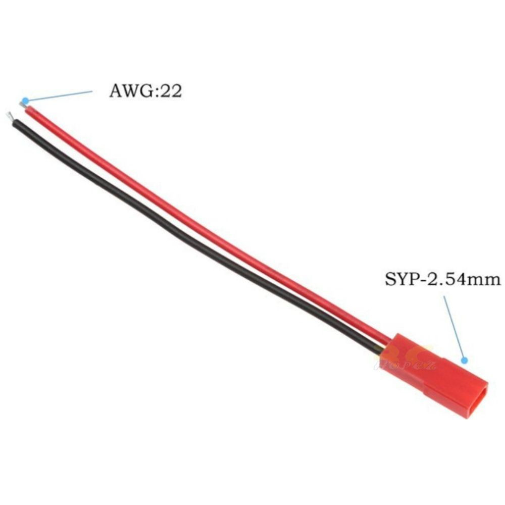 JST Female 2Pin Connector With Cable JST-Female – RC HOPEZ