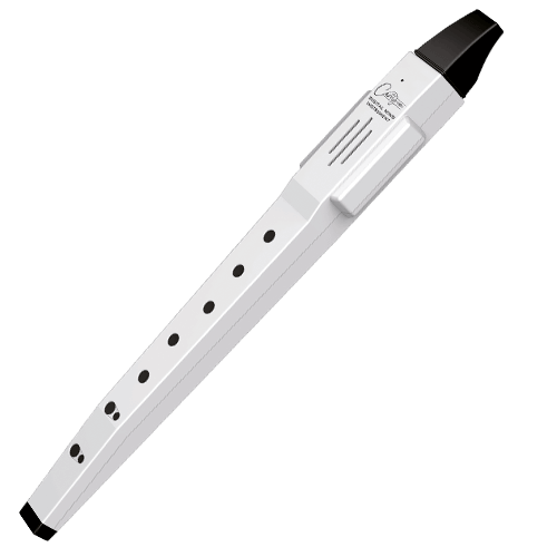 Carry-on Digital Wind Instrument - Black - Malaysia’s #1 Music Store ...